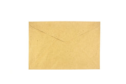Document Brown Envelope 10x15in – Paper Cart