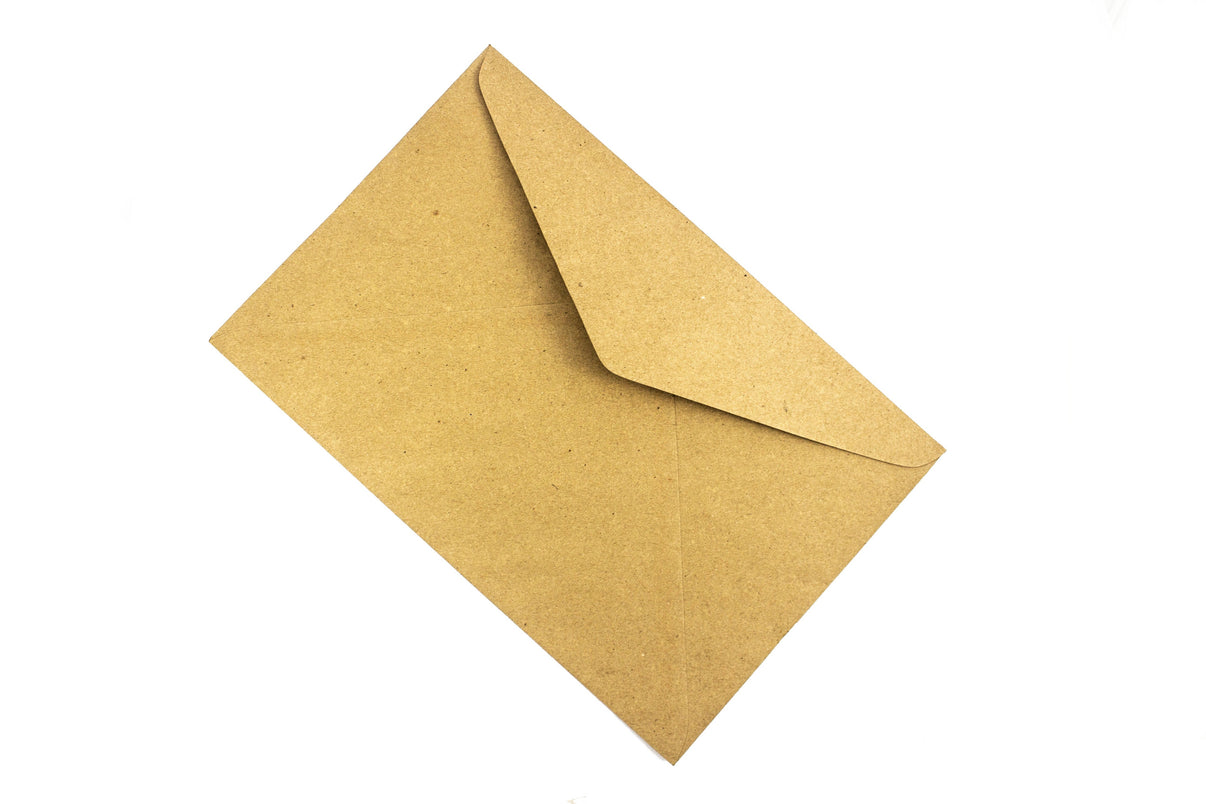 Document Brown Envelope 10x15in – Paper Cart